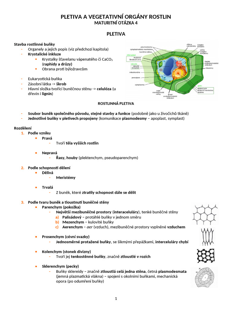 MO4 - Pletiva A Vegetativní Orgány Rostlin | PDF