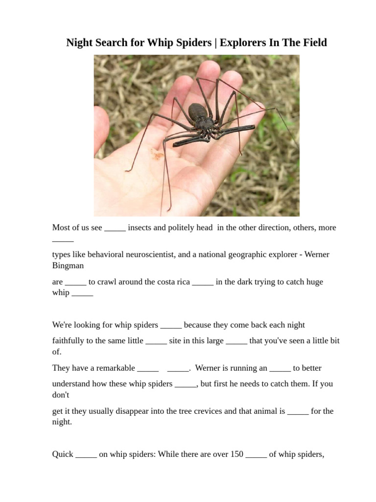 Listening Gap Fill Advanced Level | PDF | Spider | Ice