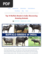 List of Bufalo Breeds | PDF | Bovines | Bovidae