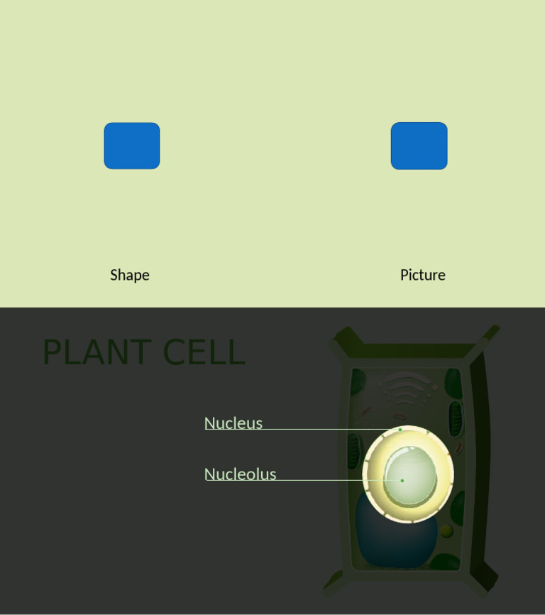 Zoom With The Grow Shrink Animation | PDF