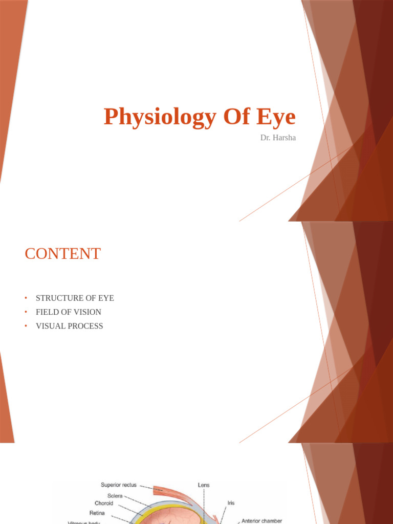 Physiology of EYE | PDF | Human Eye | Visual Acuity