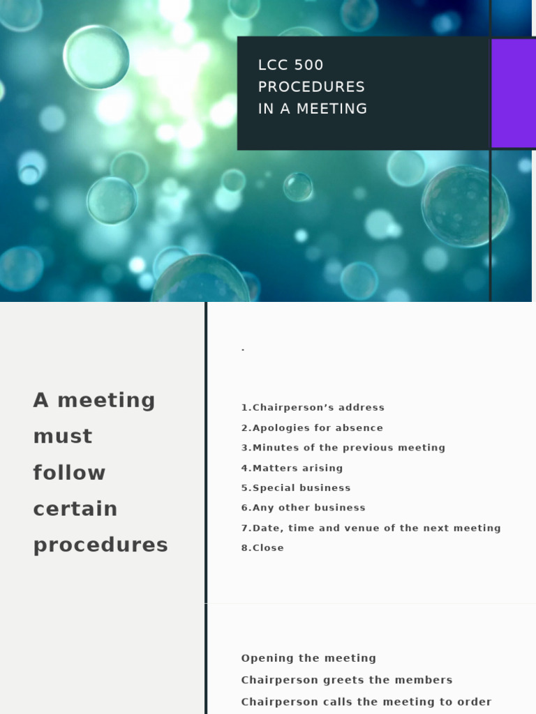 W13 Meeting Procedures Company | PDF