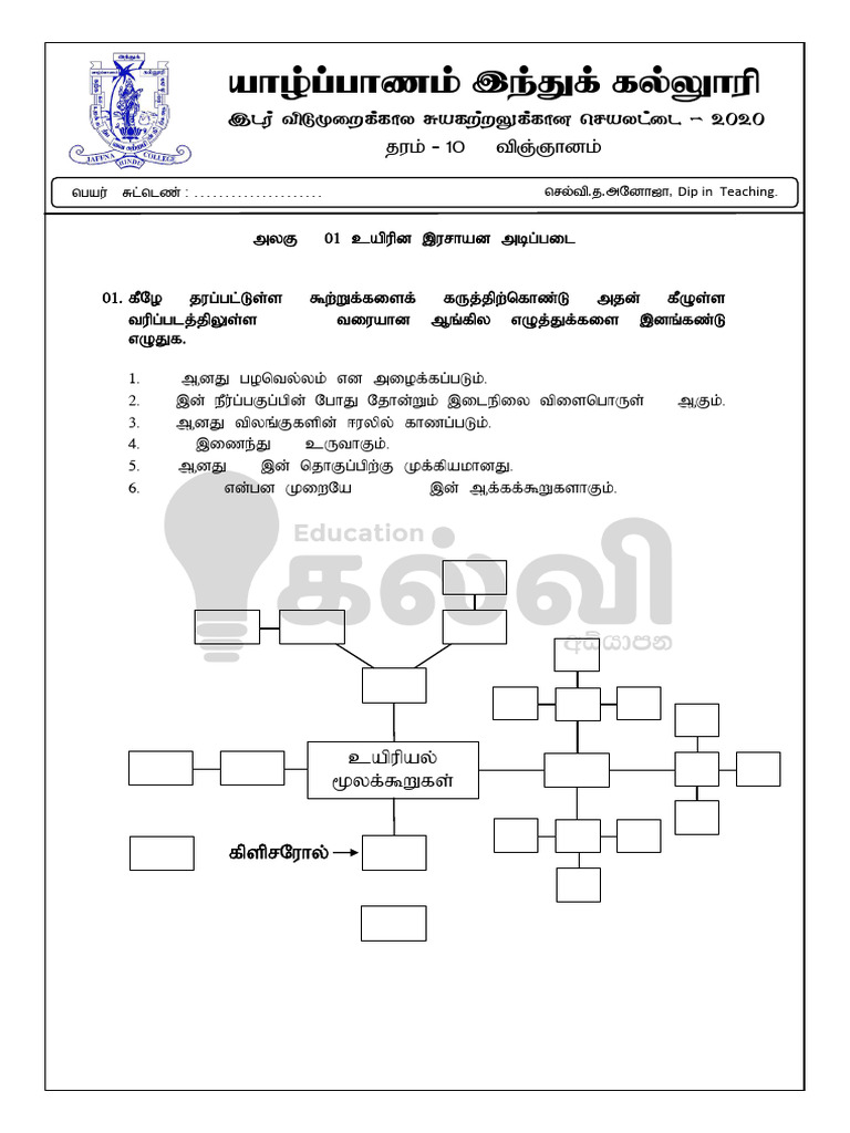 Gr10 Ta Science 2020 Model Paper | PDF