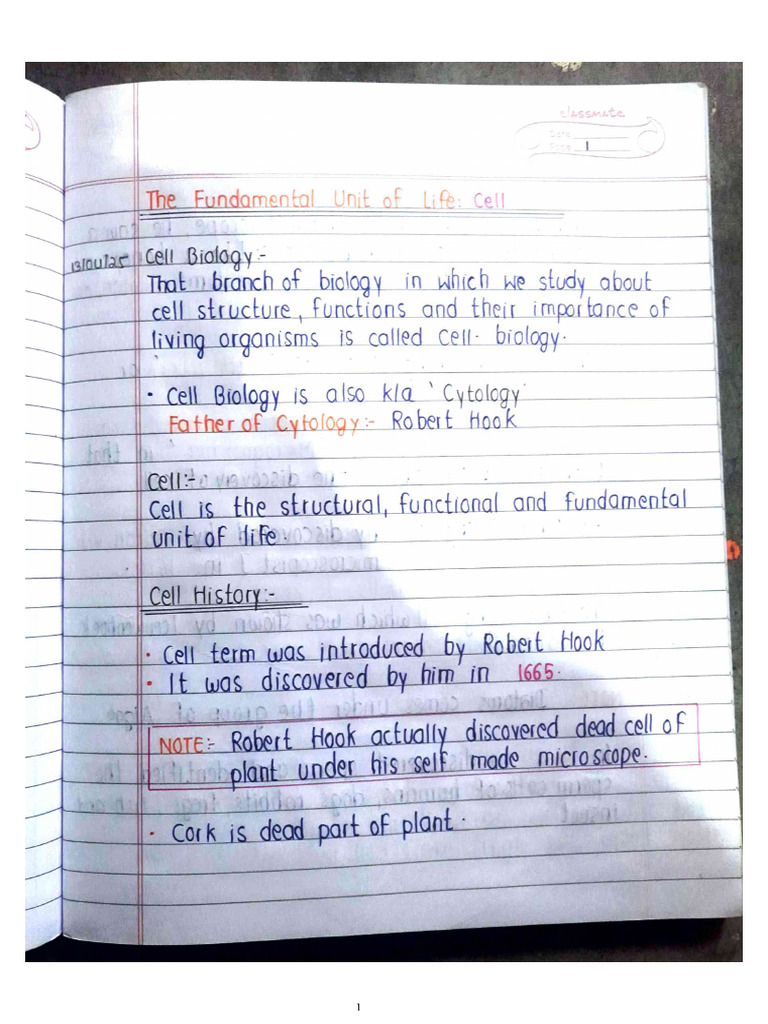 Biology Chapter 1-Cell | PDF