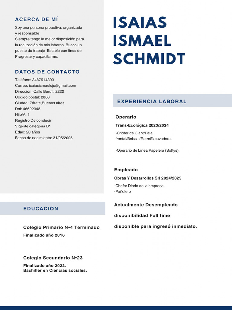Curriculum Vitae 2025 Isaias Schmidt | PDF
