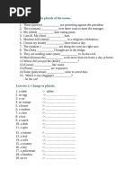 Plural Exercises | PDF