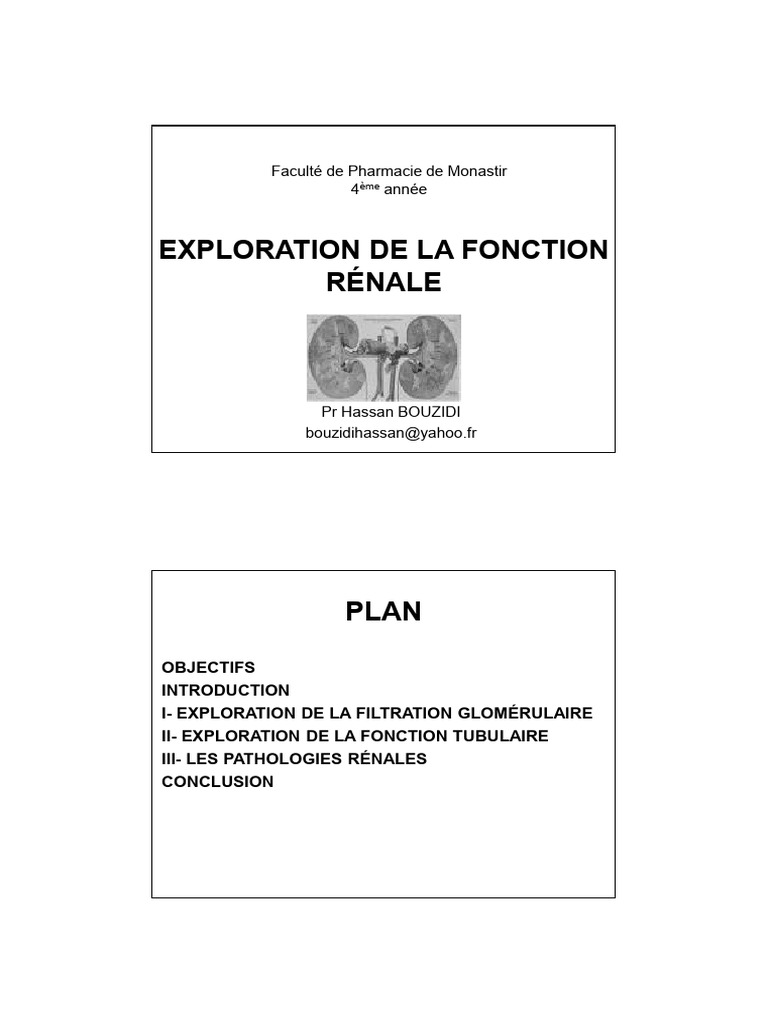 Exploration de la Fonction Rénale | PDF | Créatinine | Rein