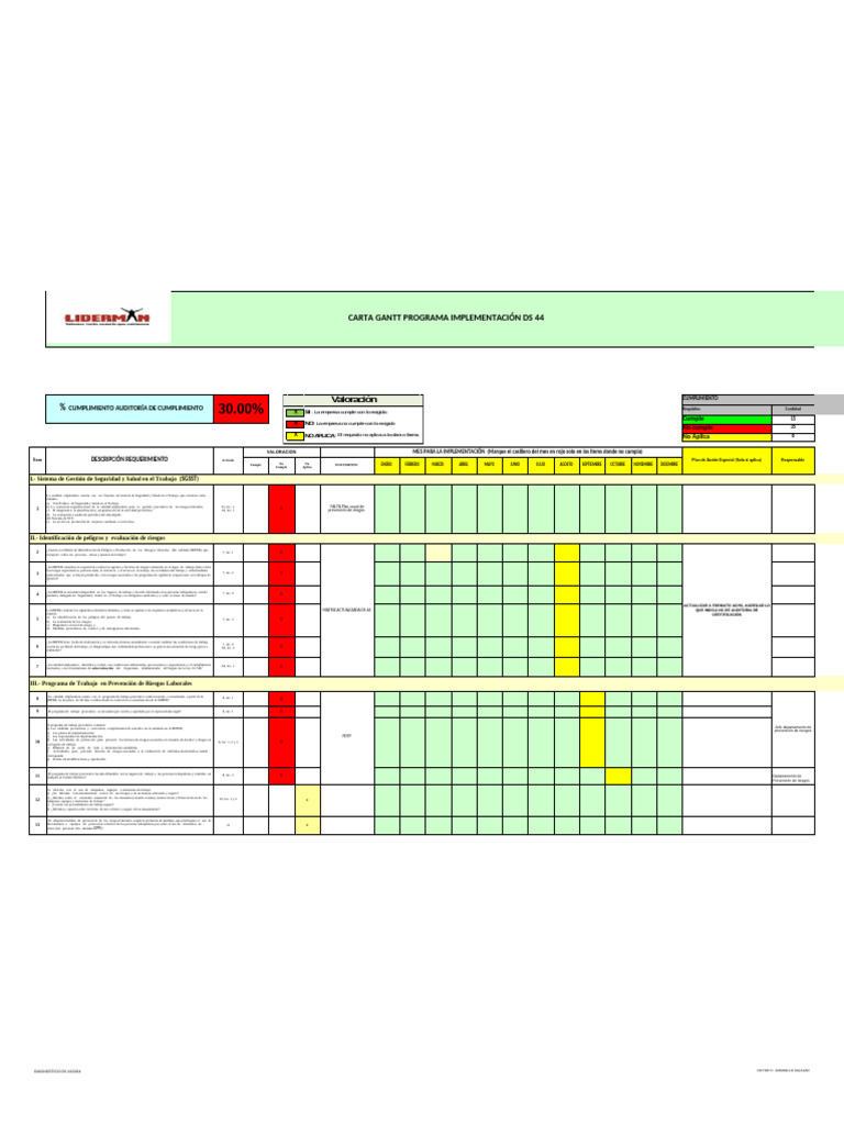 Carta Gantt Programa de Implementacion Ds 44 | PDF | Seguridad y salud ocupacional | Riesgo