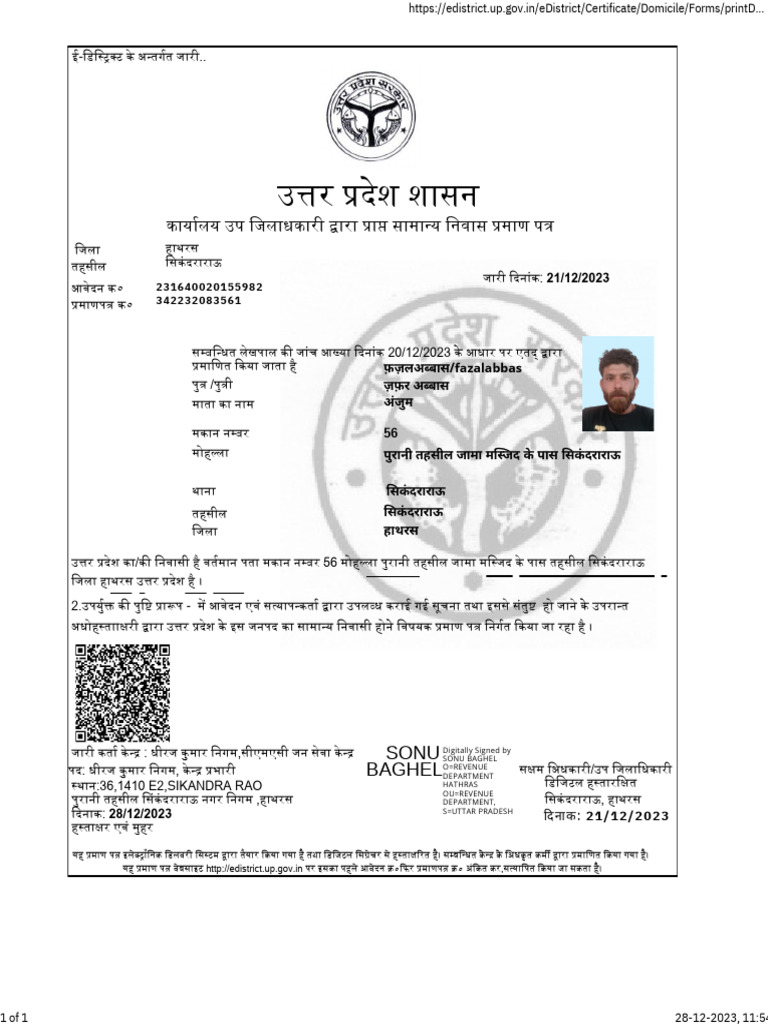 Fazal Abbas Domicile Certificate | PDF