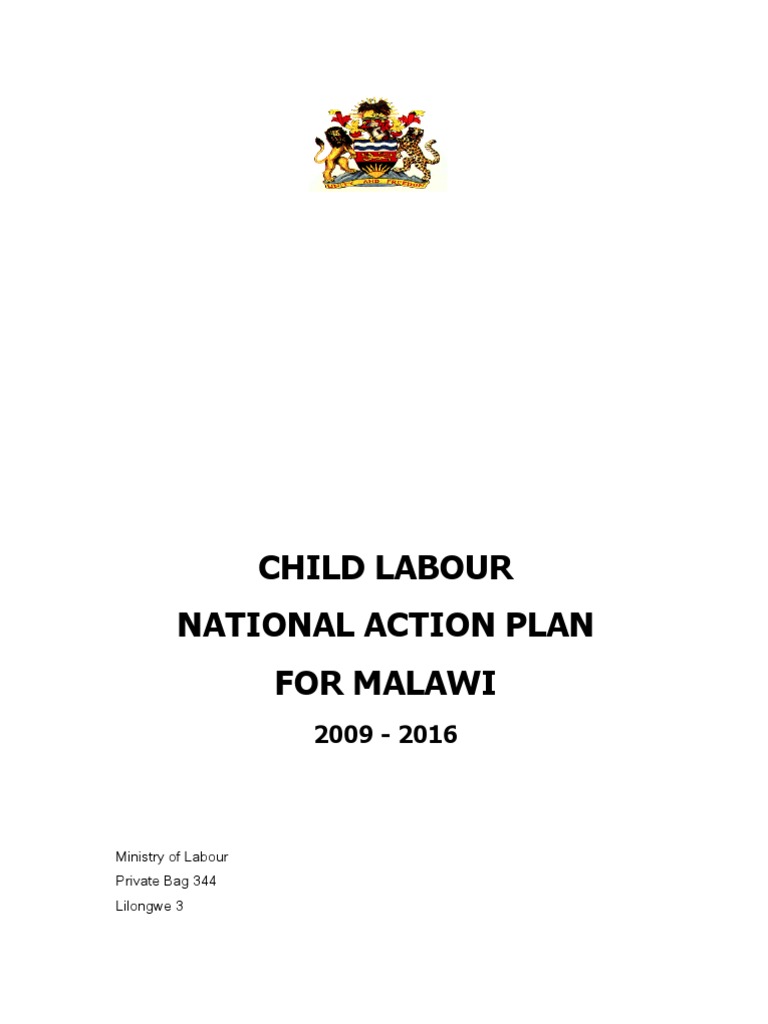 Malawi Child Labour Action Plan | PDF | International Labour ...