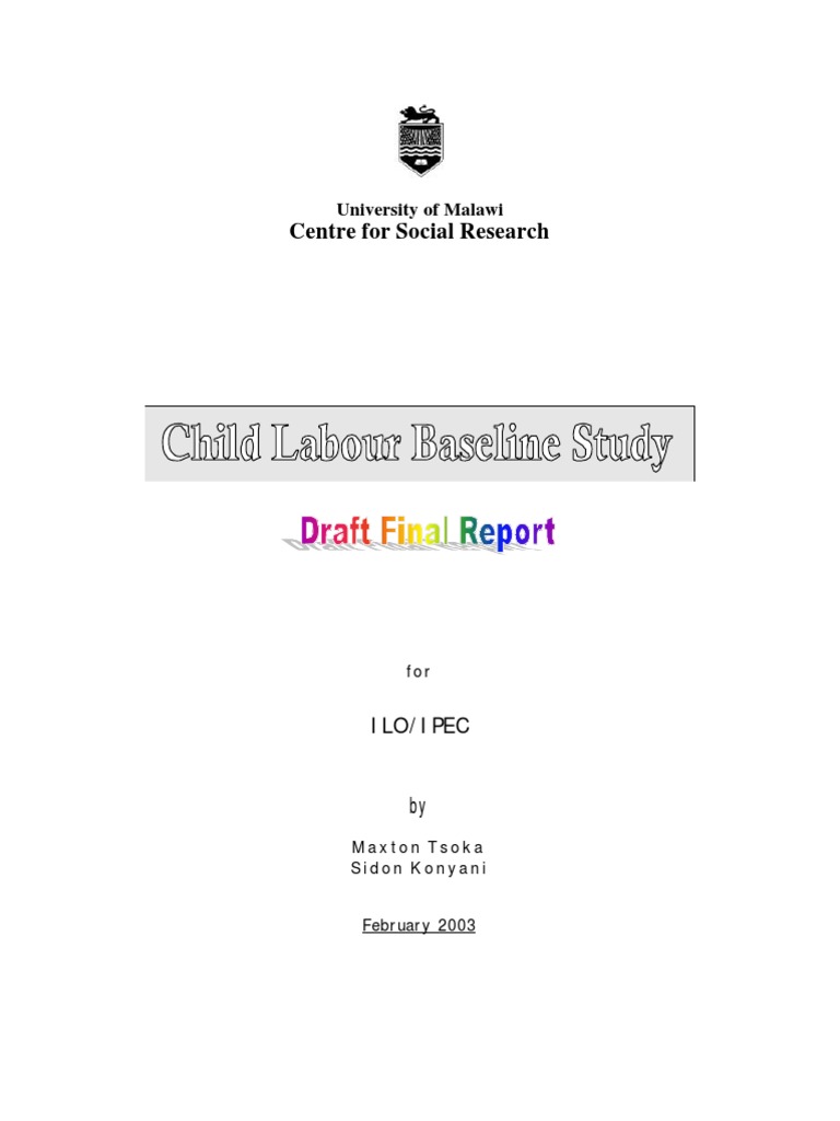 Child Labour Report | PDF | Child Labour | International Labour ...