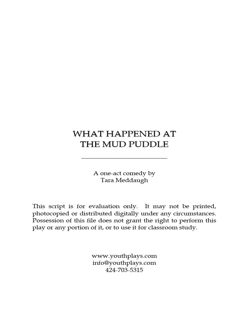 What Happened at The Mud Puddle - Excerpt | PDF | Copyright | Copyright ...
