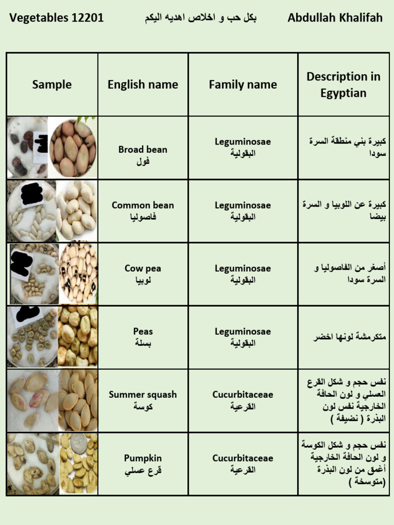 Vegetables Identify | PDF