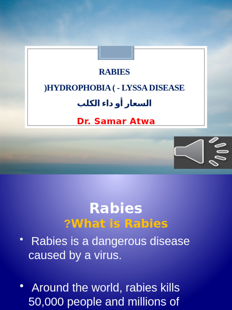 Understanding Rabies: Symptoms and Prevention | PDF | Rabies | Vaccines
