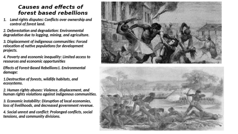 Causes and Effects of Forest Rebellions | PDF
