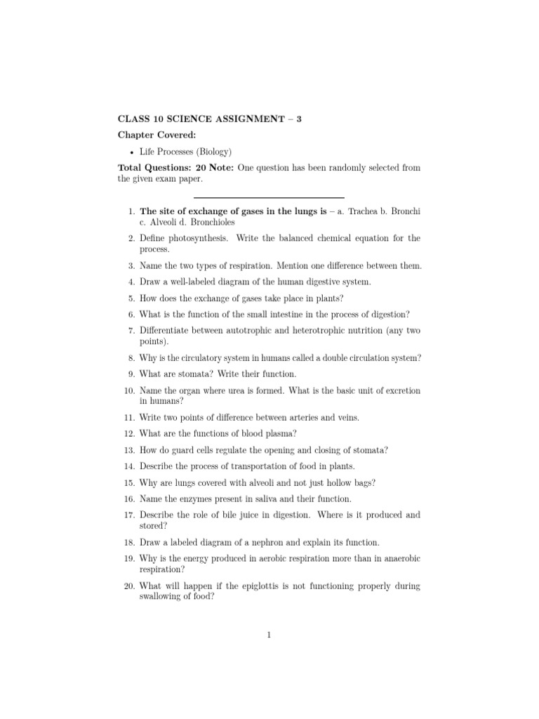 Class 10 Science: Life Processes Assignment | PDF