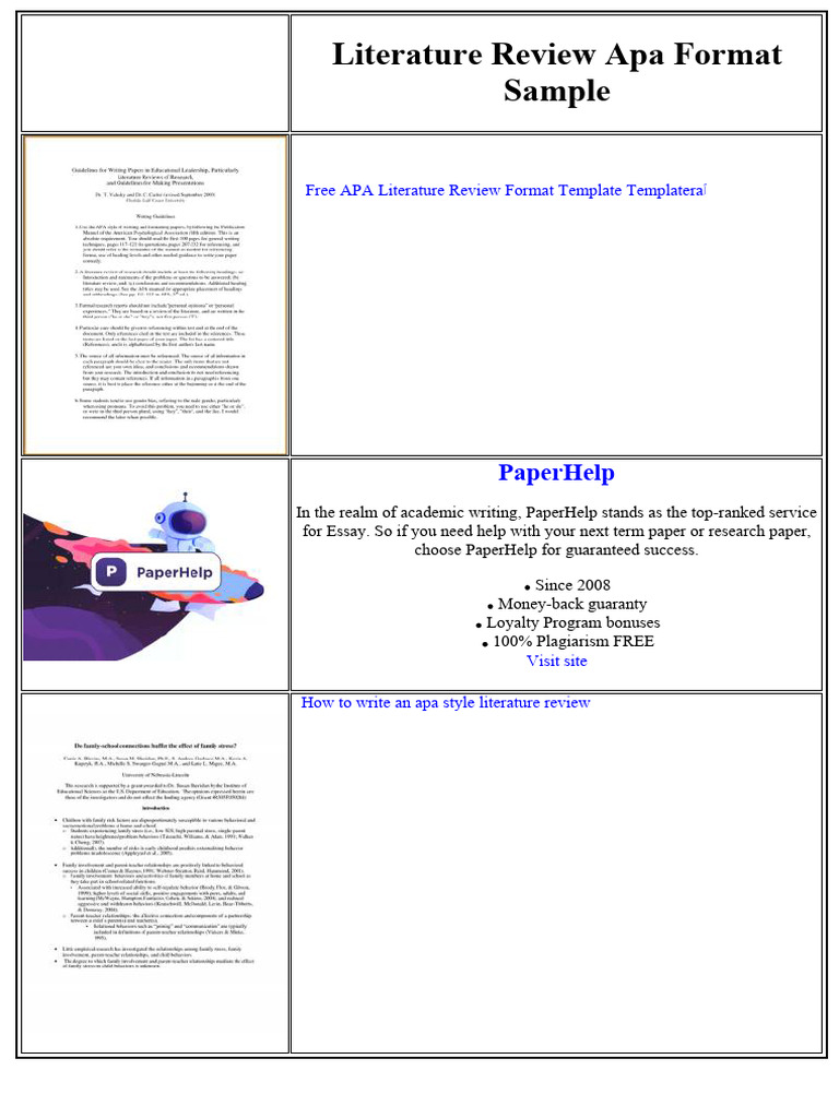 Literature Review Apa Format Sample | PDF | Essays | E Commerce