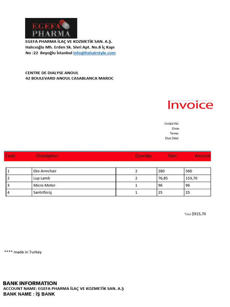 EGEFA Pharma Invoice Details | PDF