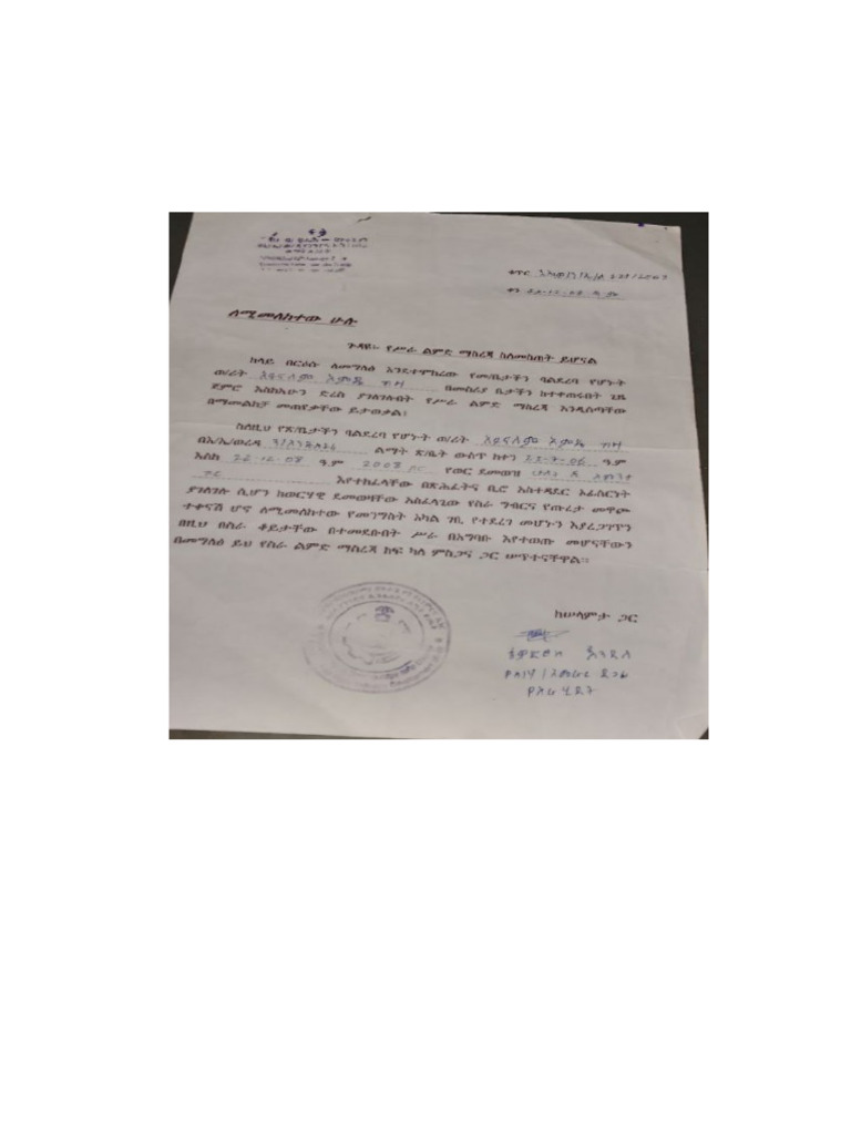 Aynalem Amde Document | PDF