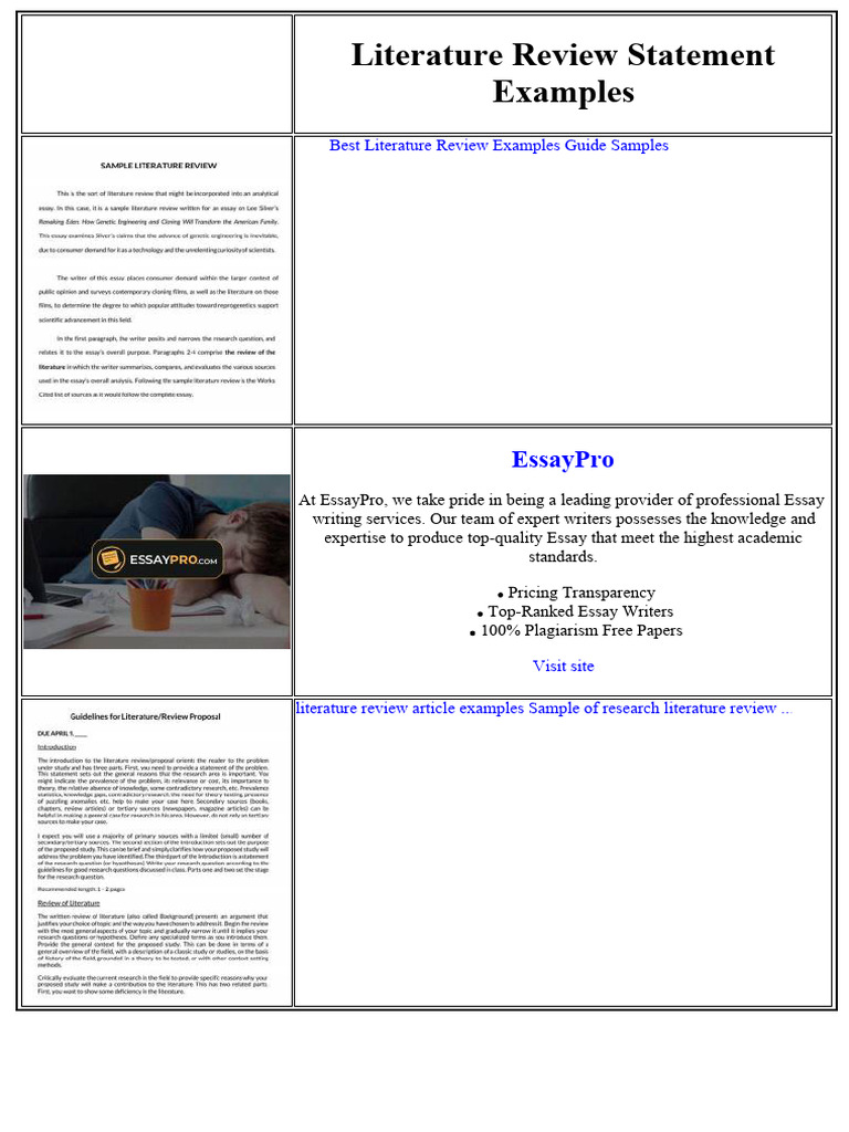 Literature Review Statement Examples | PDF | Memory