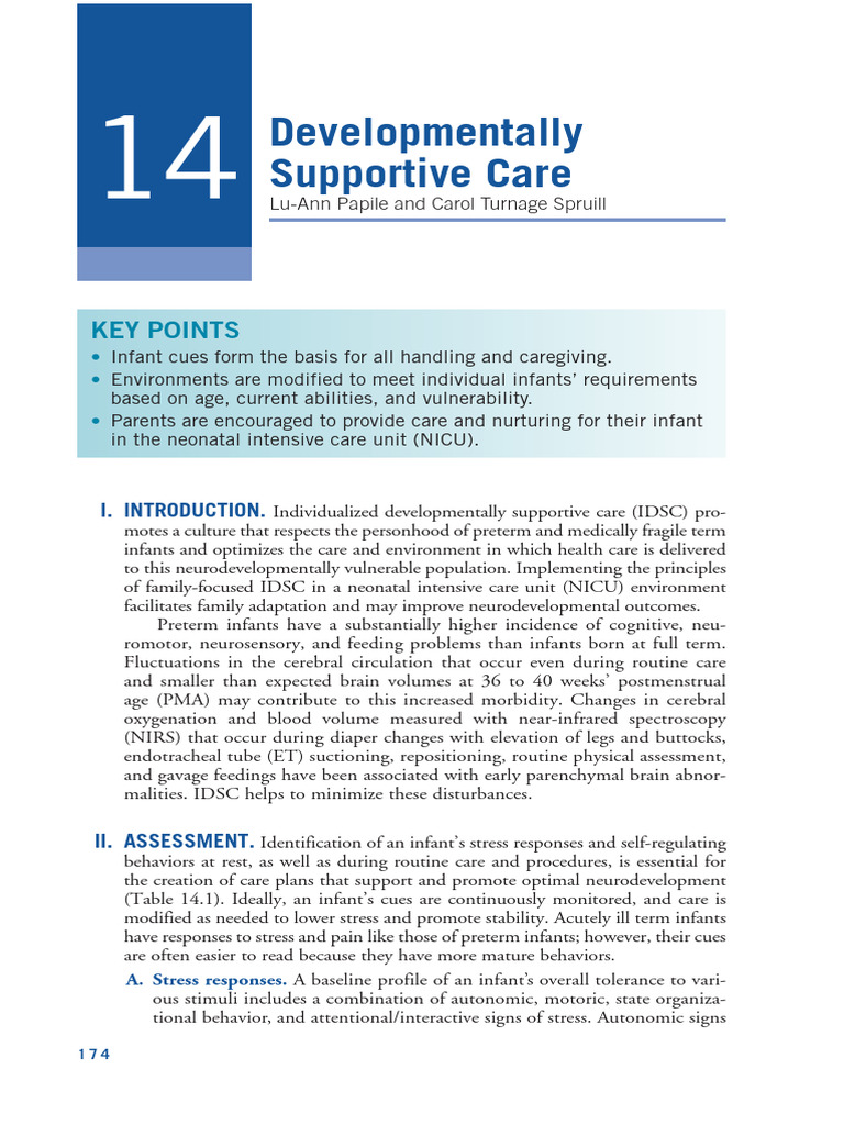 Developmental Supportive Care | PDF | Neonatal Intensive Care Unit ...