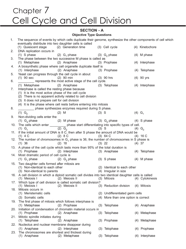 Cell Cycle and Cell Division QP | PDF | Meiosis | Mitosis