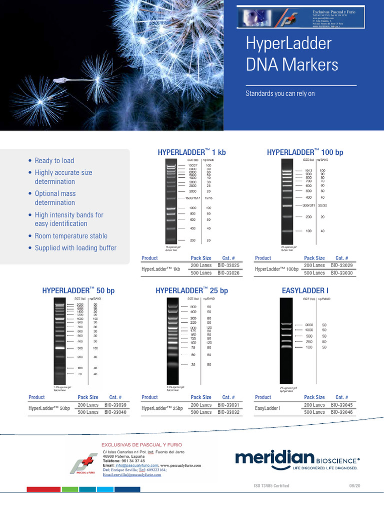 Hyperladder Dna Markers 1 | PDF