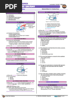 Ear Anatomy Quiz and Answers | PDF