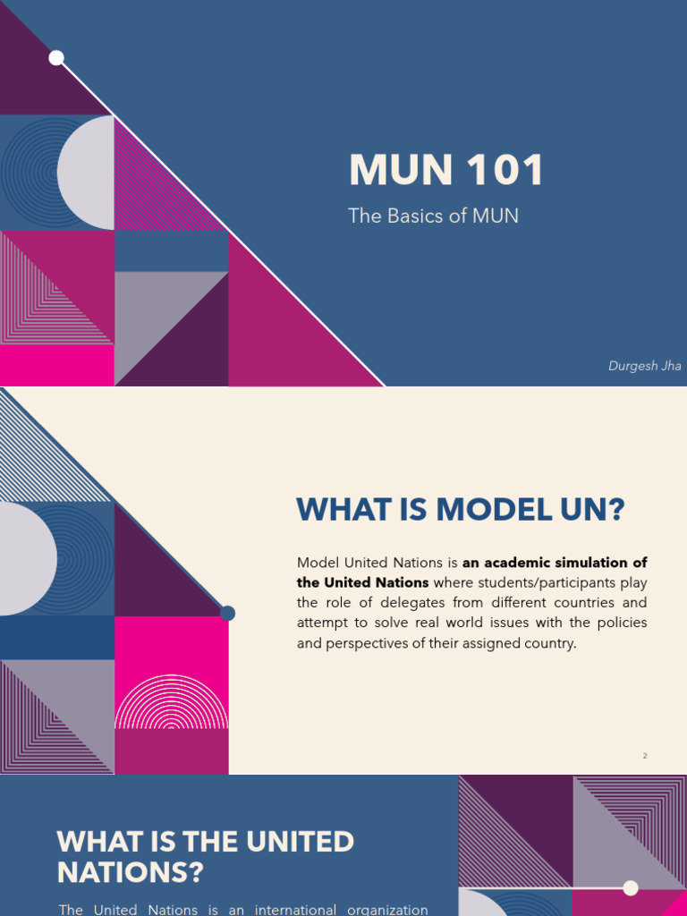 MUN 101 - The Basics of Model UN | PDF | Government