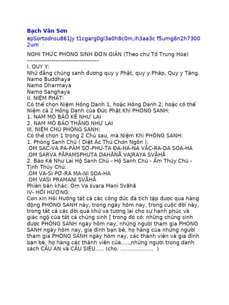 Chú Phong Sanh - B CH Vân Sơn | PDF