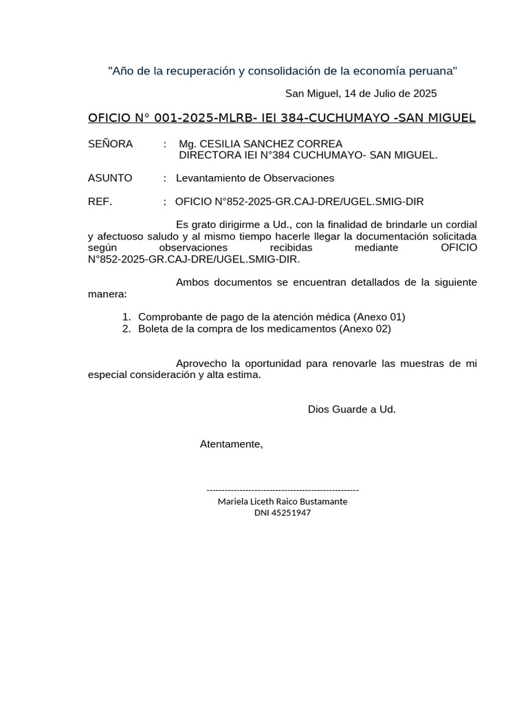 OFICIOS Liz | PDF