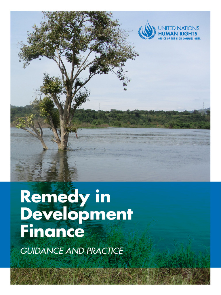Remedy in Development Finance Practices | PDF | Risk | Policy