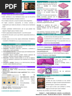 Anatomía del Cúbito: Estructura y Función | PDF | Codo | Extremidades ...