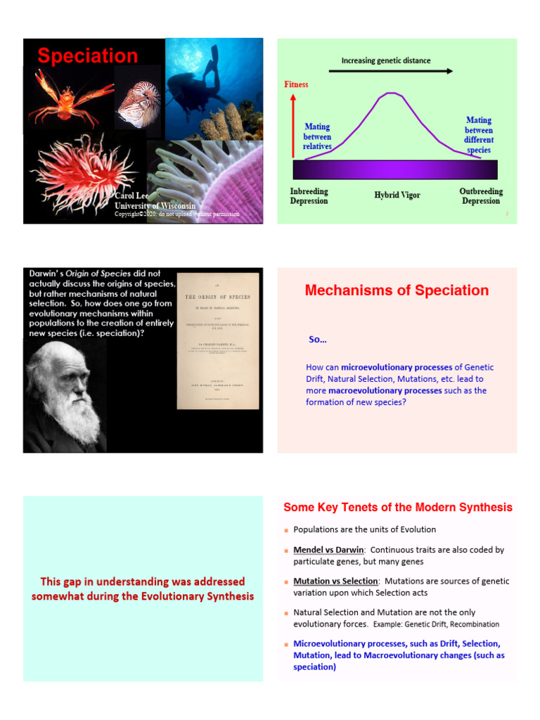 Mechanisms of Speciation | PDF | Ploidy | Dominance (Genetics)