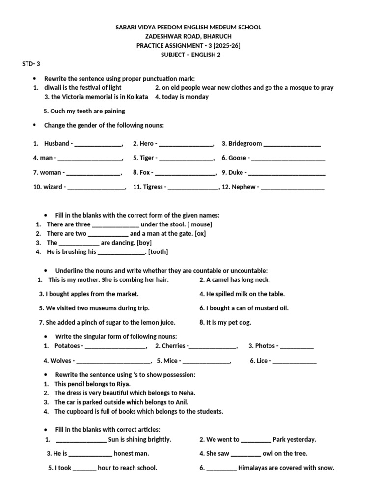 Std 3 English Practice Assignment | PDF