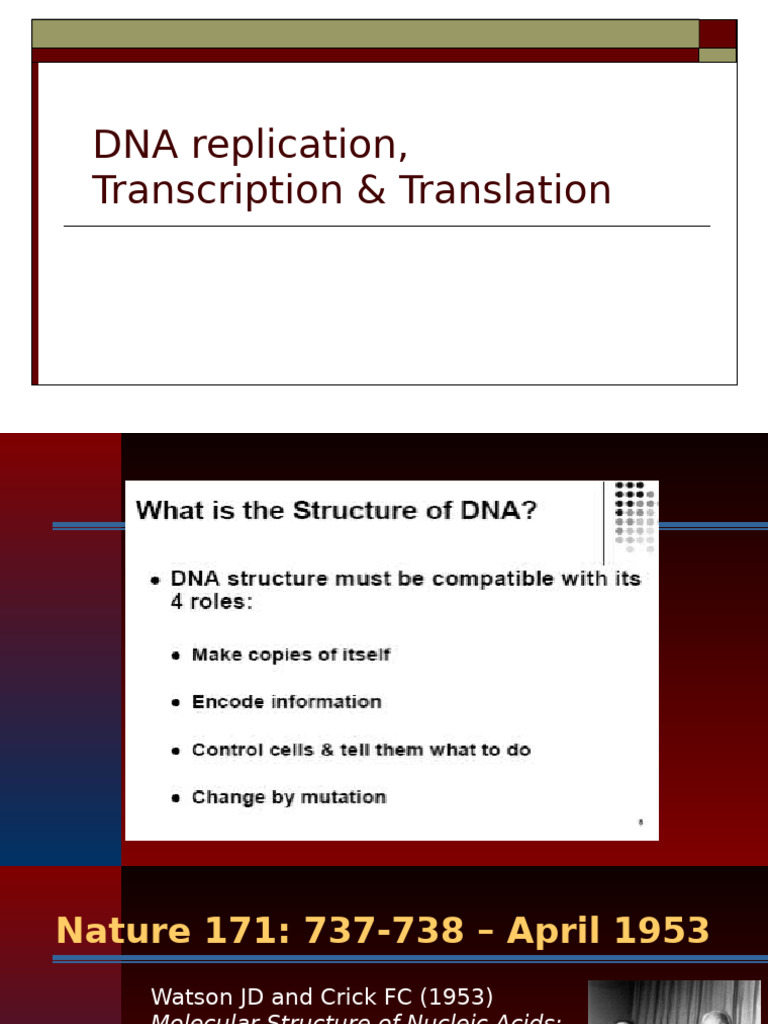 DNA Structure & Replication 2 | PDF | Dna Replication | Nucleic Acids
