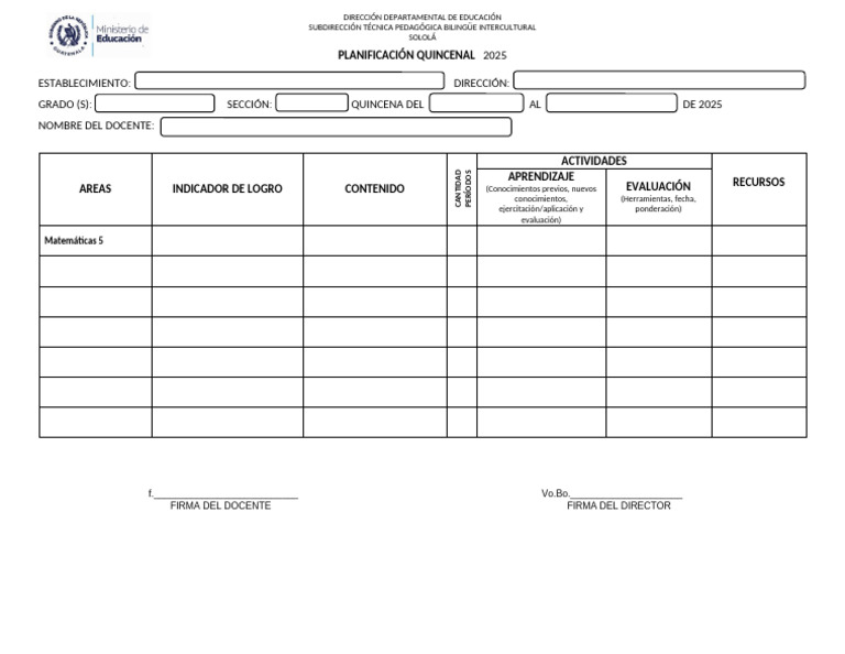 Formato Plan Quincenal-NIVEL MEDIO 2024 | PDF