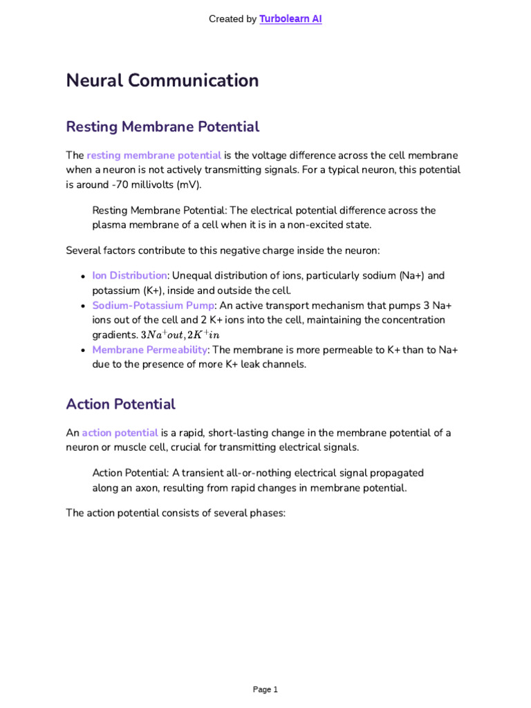 Neural Communication: Resting Membrane Potential | PDF | Chemical ...