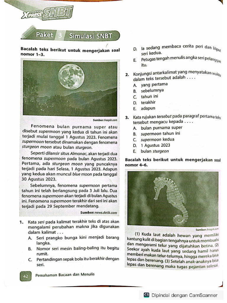 Literasi Bindo SNBT 2 | PDF