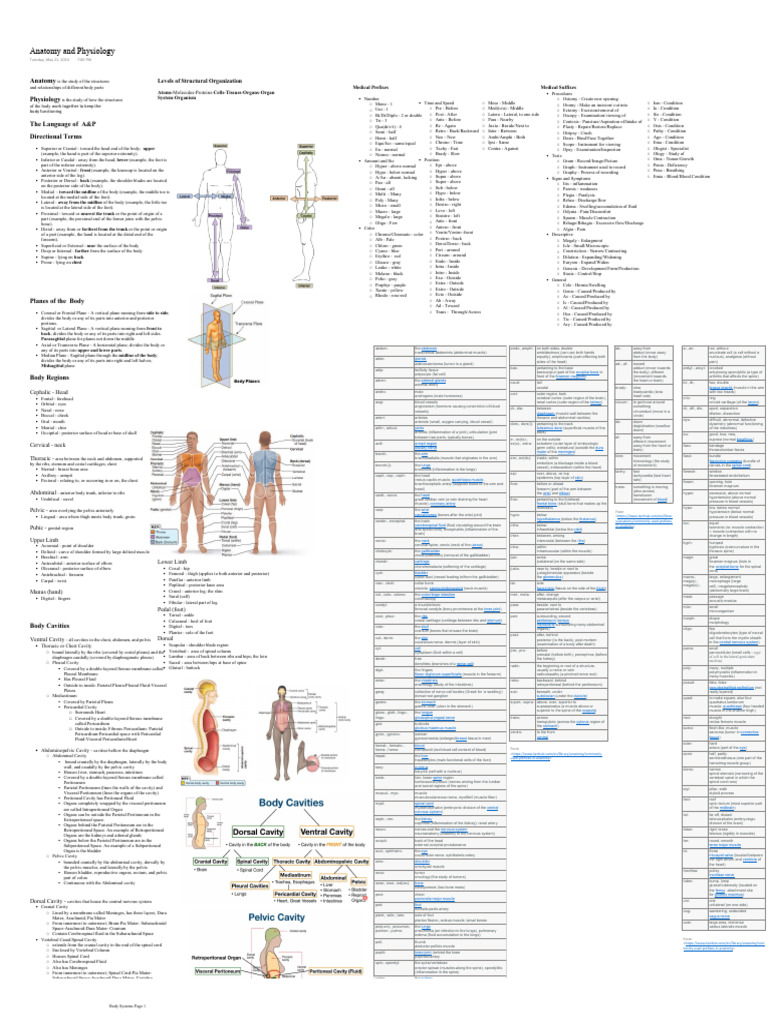 (Notes) General Anatomy and Physiology | PDF | Abdomen | Thorax