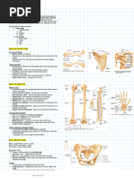 Answers Lab8 9 AppendicularSkeleton | PDF | Pelvis | Hip