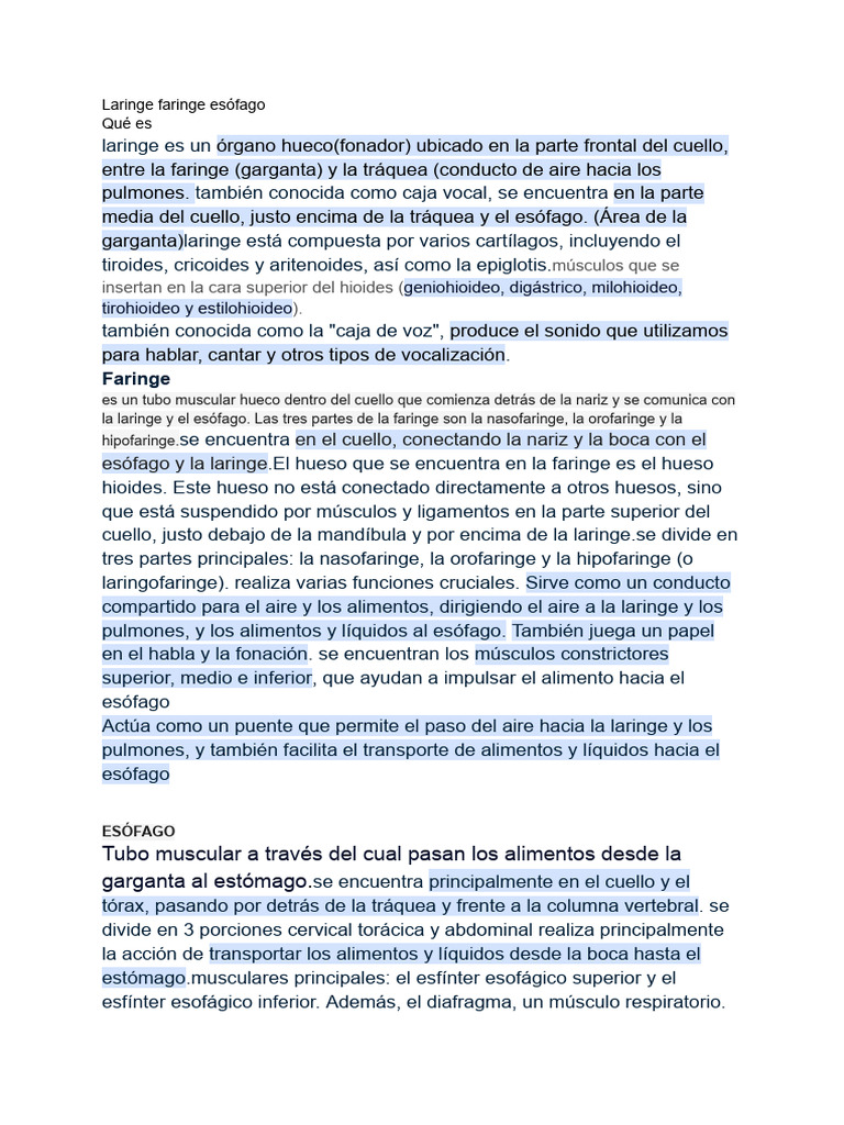 Laringe Faringe Esófago | PDF | Laringe | Esófago