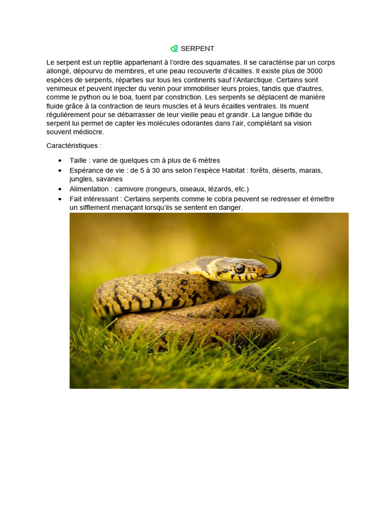 Caractéristiques et Habitat des Serpents | PDF