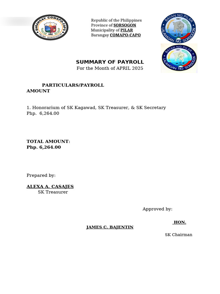 Summary of Payroll 2025 | PDF