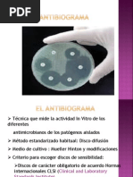 Guía de Manejo de Ratas Wistar | PDF | Laboratorios | Salud y bienestar