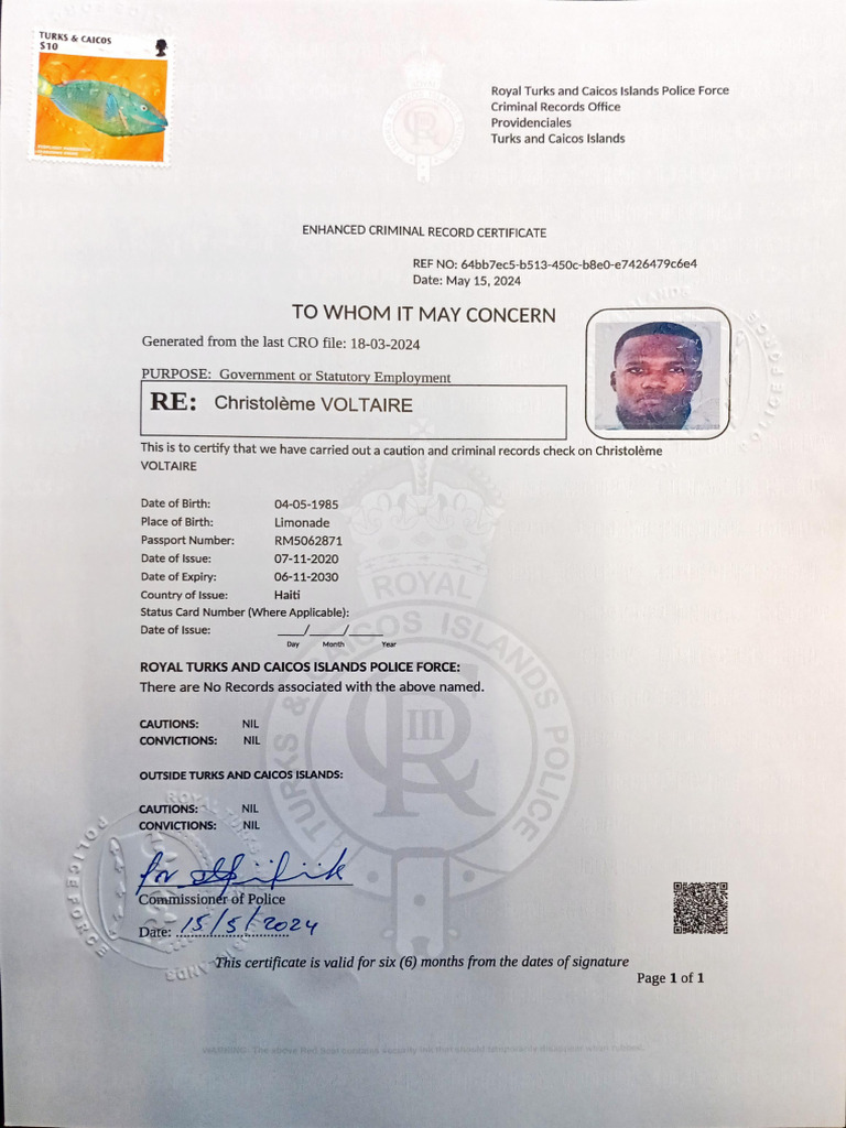 Police Record | PDF
