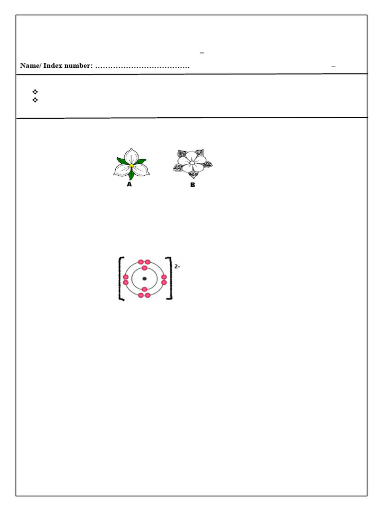 Parallel Venation in Plant Biology | PDF | Tissue (Biology) | Menstrual ...