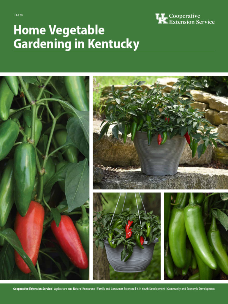 Kentucky Home Vegetable Gardening Guide | PDF | Soil | Vegetables
