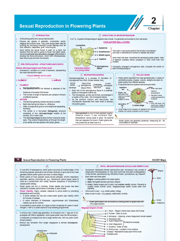 2.1 Sexual Reproduction in Flowering Plants - NM | PDF | Flowers ...