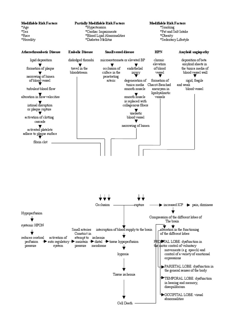 Pathophysiology of Stroke